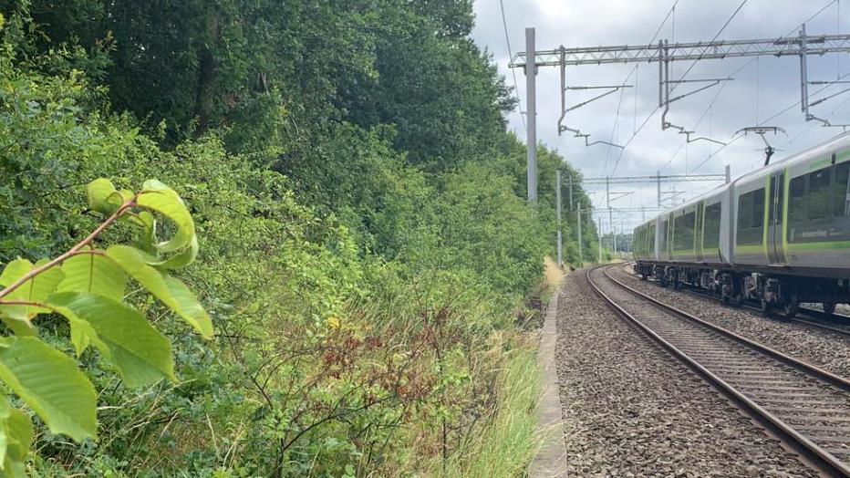 Network Rail publishes Environmental Sustainability Strategy | Rail ...