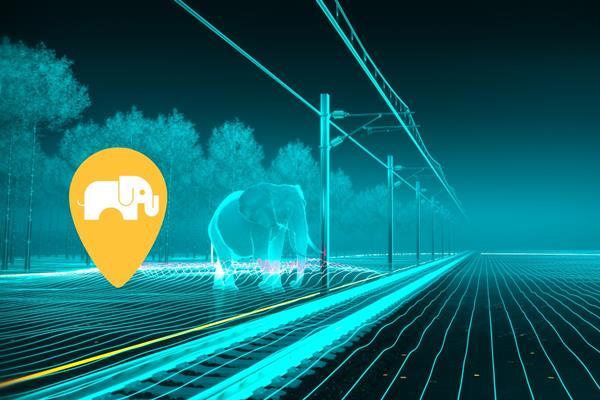 Elephant detection system to be deployed on Indian Railways | News ...