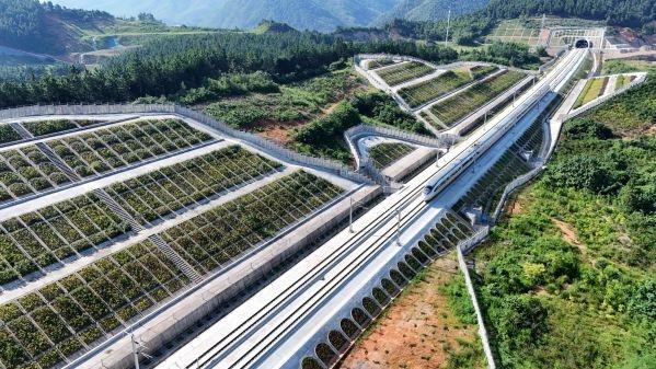 High speed lines add to National Day celebrations | News | Railway ...